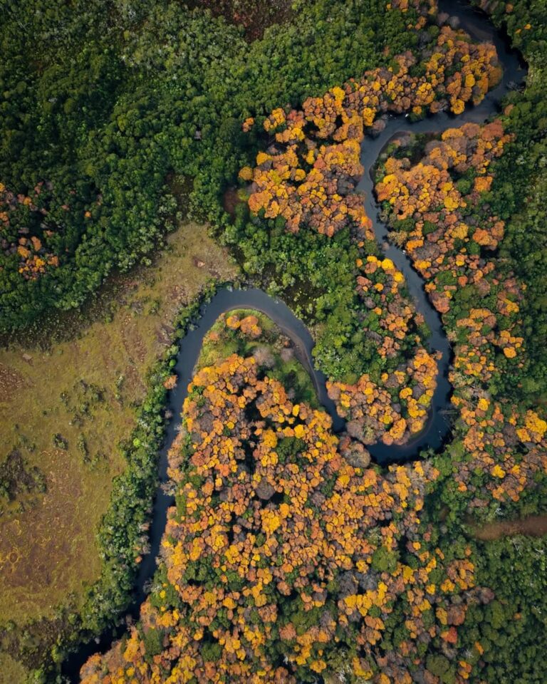 Il ritorno della foca monaca • Ultima Bozza